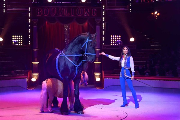Spectaculaire, le spectacle du cirque d'Hiver Bouglione
