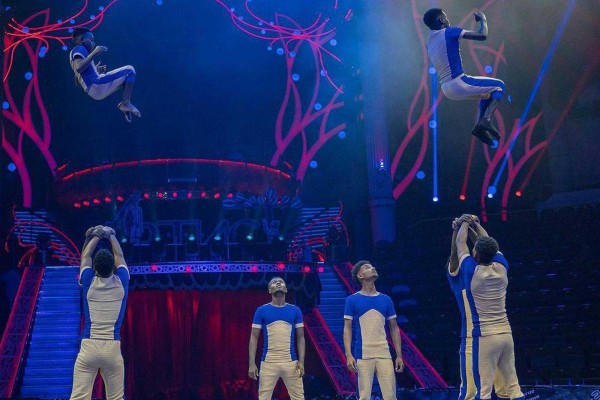 Spectaculaire, le spectacle du cirque d'Hiver Bouglione